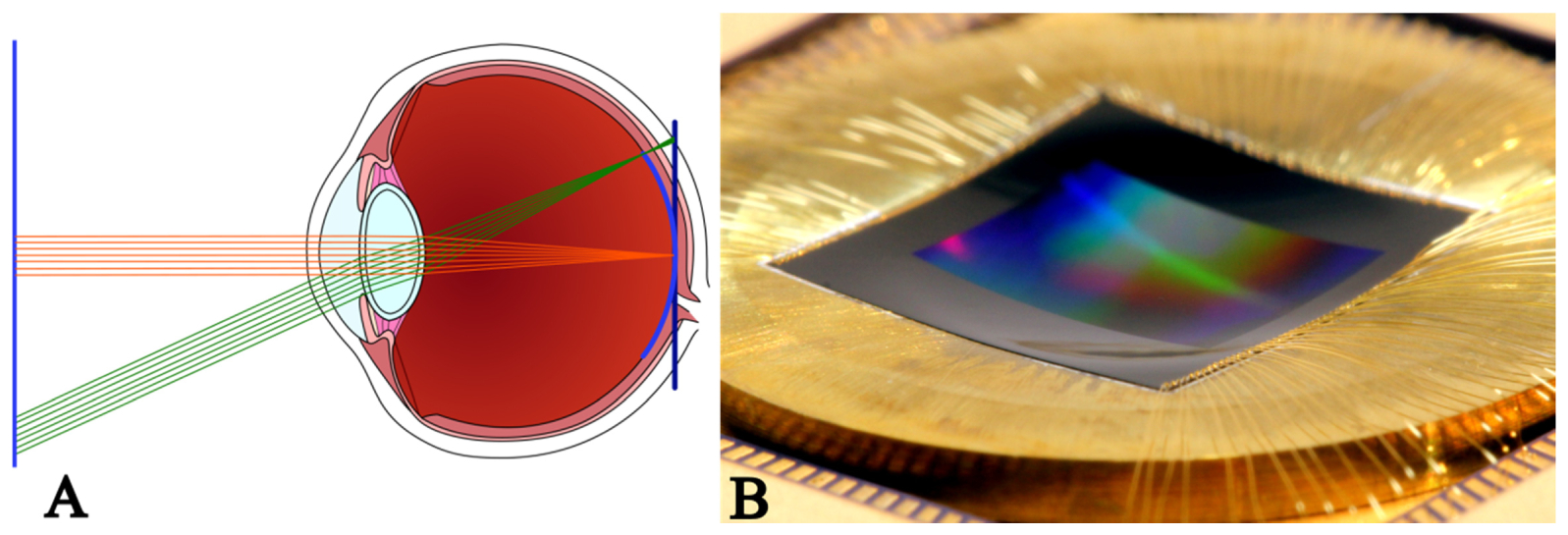 Curved image sensors for better resolution, and wide field of view ...