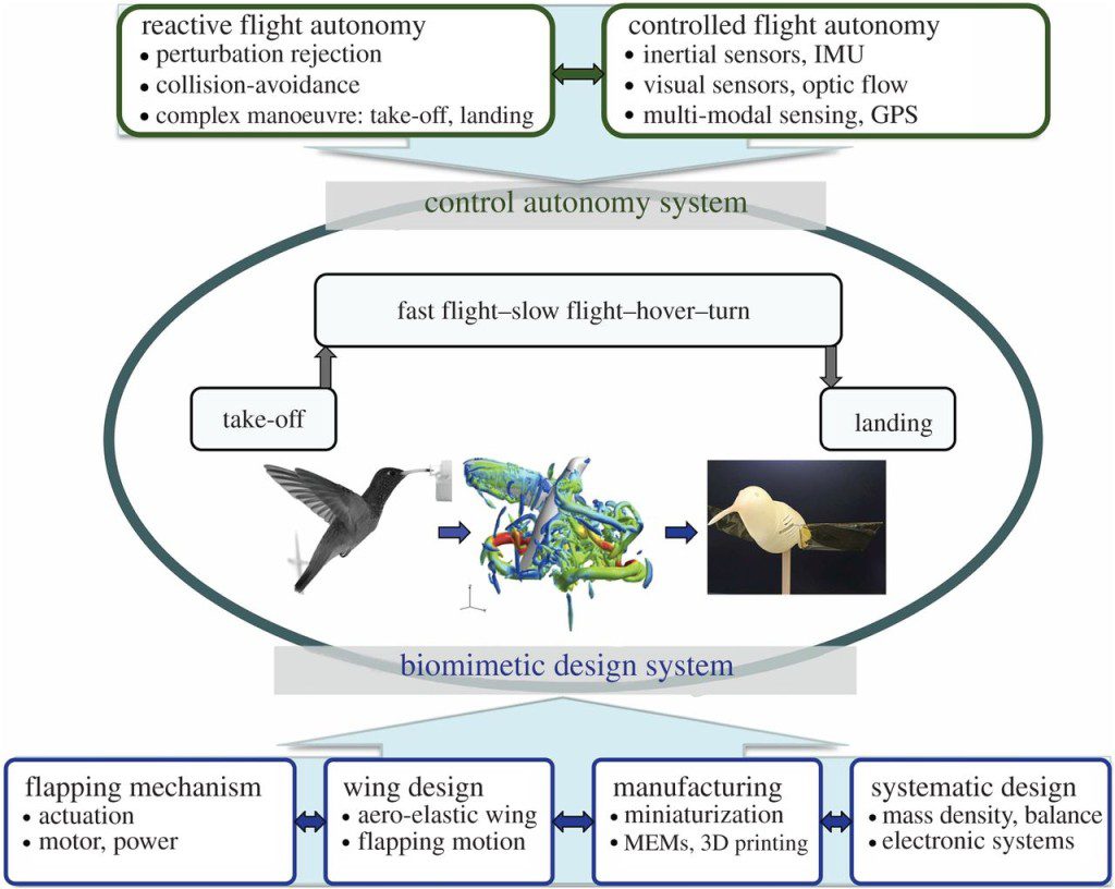 Bio-Inspired Micro Air Vehicle for better flight performance ...