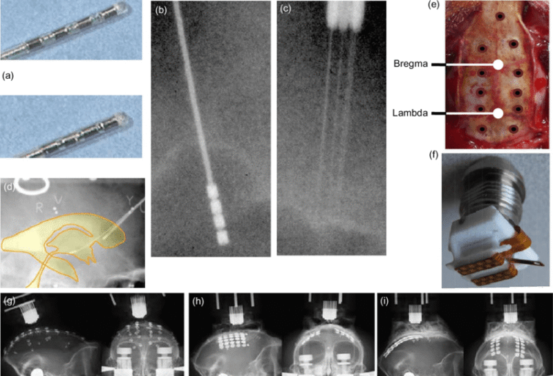 Electrode Materials are key to Brain Computer Interface (BCI ...